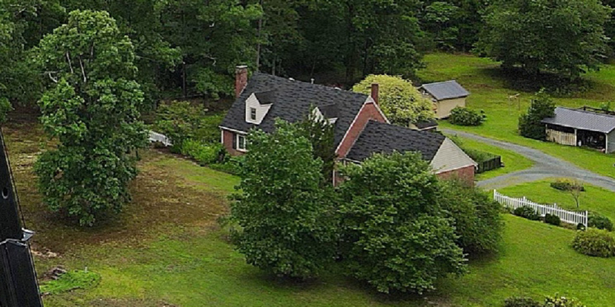 How to Prune a Tree to Keep It Small | How to Keep Trees Low